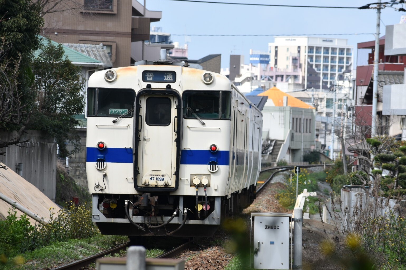 【つぶやき】 三月も中旬、菜の花が咲き... / K.Soutaさんのモーメント | YAMAP / ヤマップ