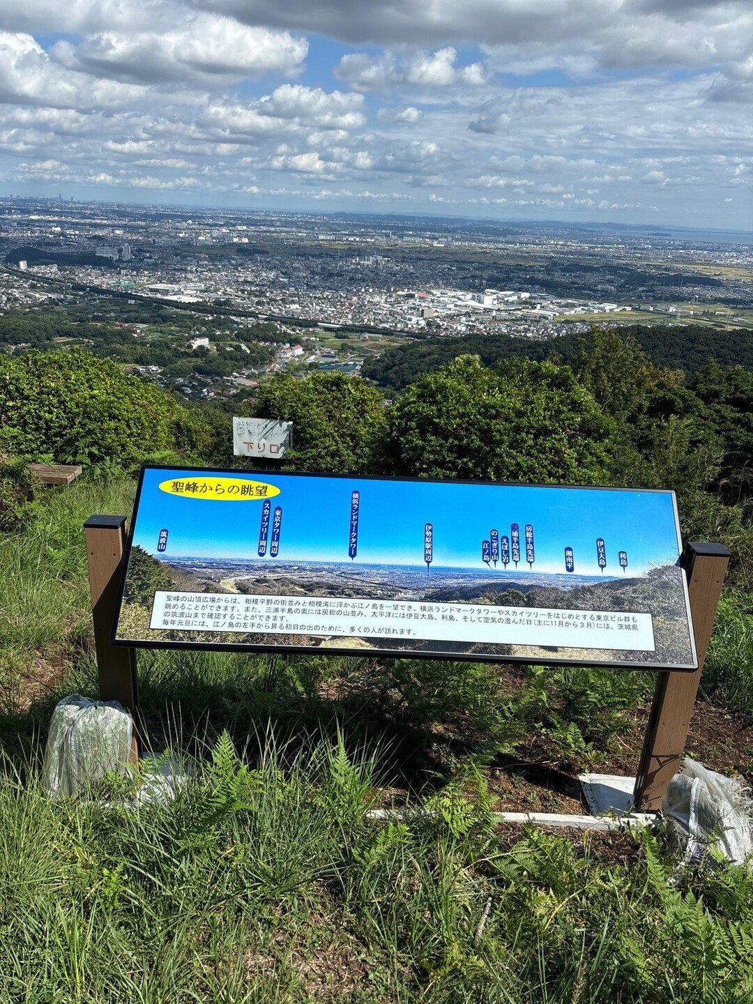 ちょこっと聖峰（善波〜不動越） / mitsumine wolfさんの塔ノ岳・丹沢山・蛭ヶ岳の活動データ | YAMAP / ヤマップ