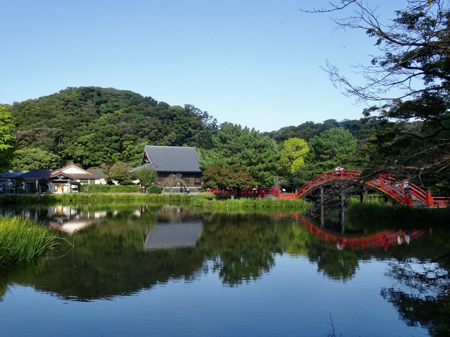 金沢山・稲荷山・日向山・野島山・御伊勢山・権現山（金沢八景権現山） / taizoさんの金沢山・稲荷山・日向山の活動データ | YAMAP / ヤマップ