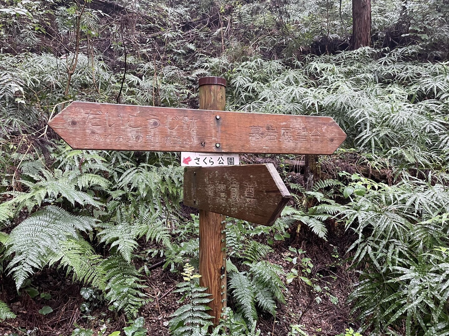 tsk-chaponさんの投稿したフィールドメモ | YAMAP / ヤマップ