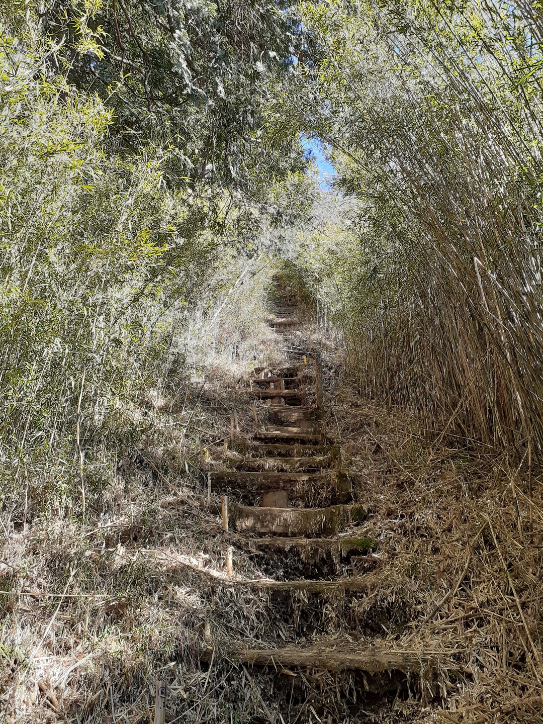 ko usさんの投稿したフィールドメモ | YAMAP / ヤマップ