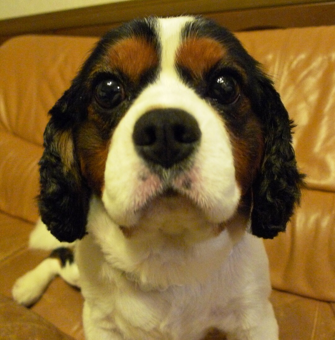 victorioのページ | YAMAP / ヤマップ