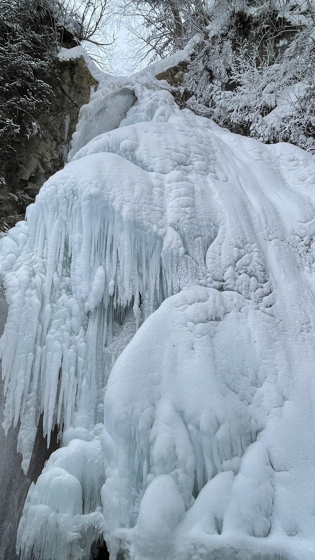 岩手山・八幡平・安比高原 50km トレイル-2024-02-11 / MZYさんの岩手山・八幡平・安比高原 50km トレイルの活動データ | YAMAP / ヤマップ