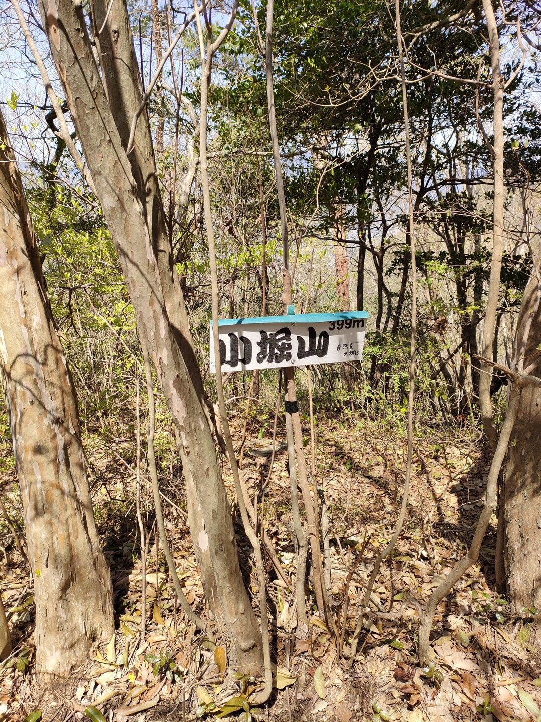 jiyoさんの投稿したフィールドメモ | YAMAP / ヤマップ