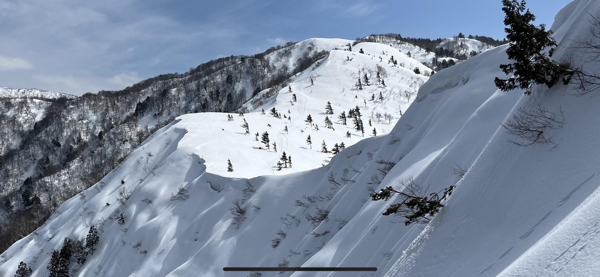 鳥ヶ尾山・鉢伏山 / snjrさんの鍬崎山・大品山・瀬戸蔵山の活動データ | YAMAP / ヤマップ