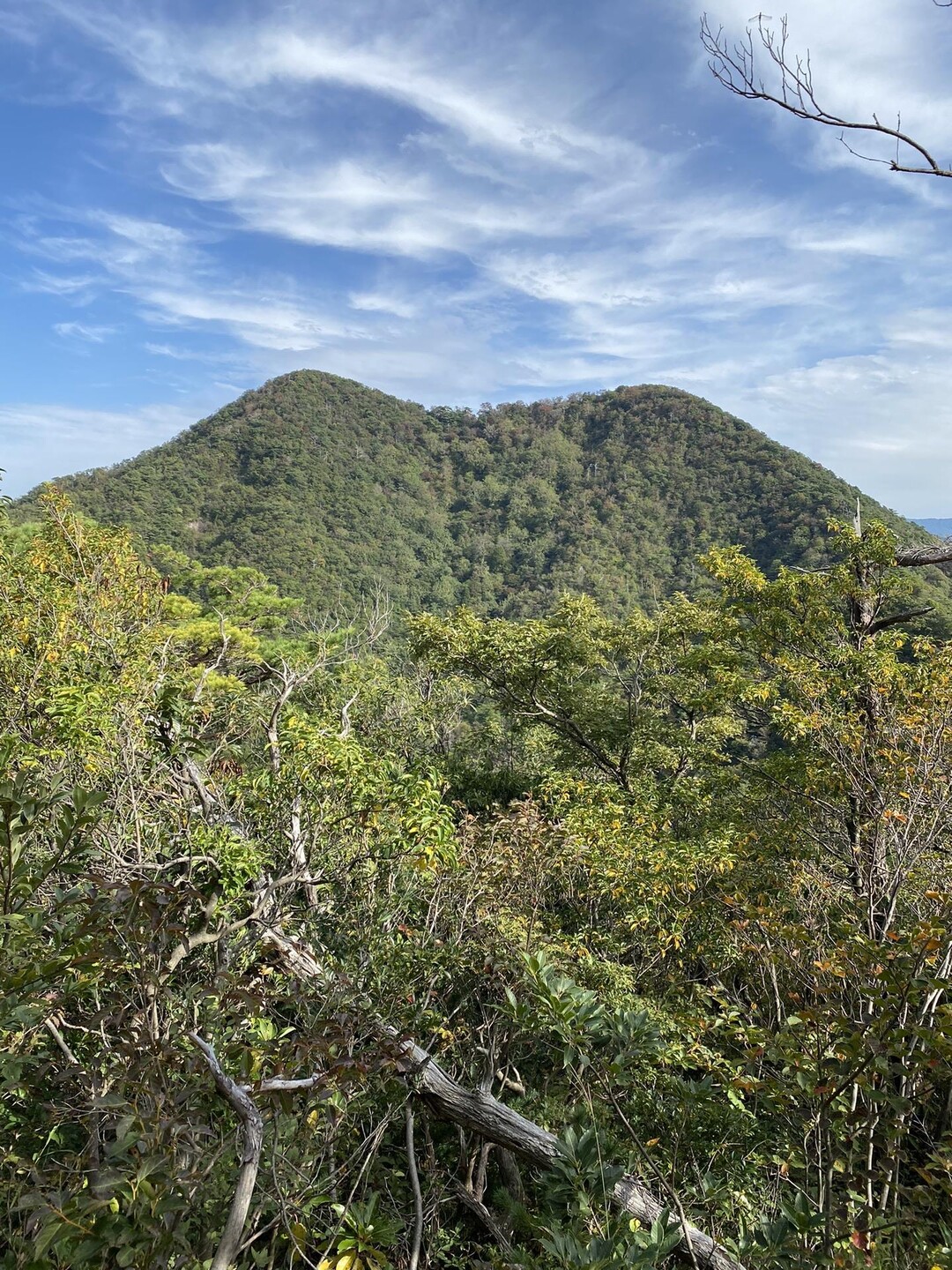 鞍掛山 (16回目) 西ノ谷登山道〜とのう送電線コース / jt0450さんの鞍掛山・後山・三童子山の活動データ | YAMAP / ヤマップ