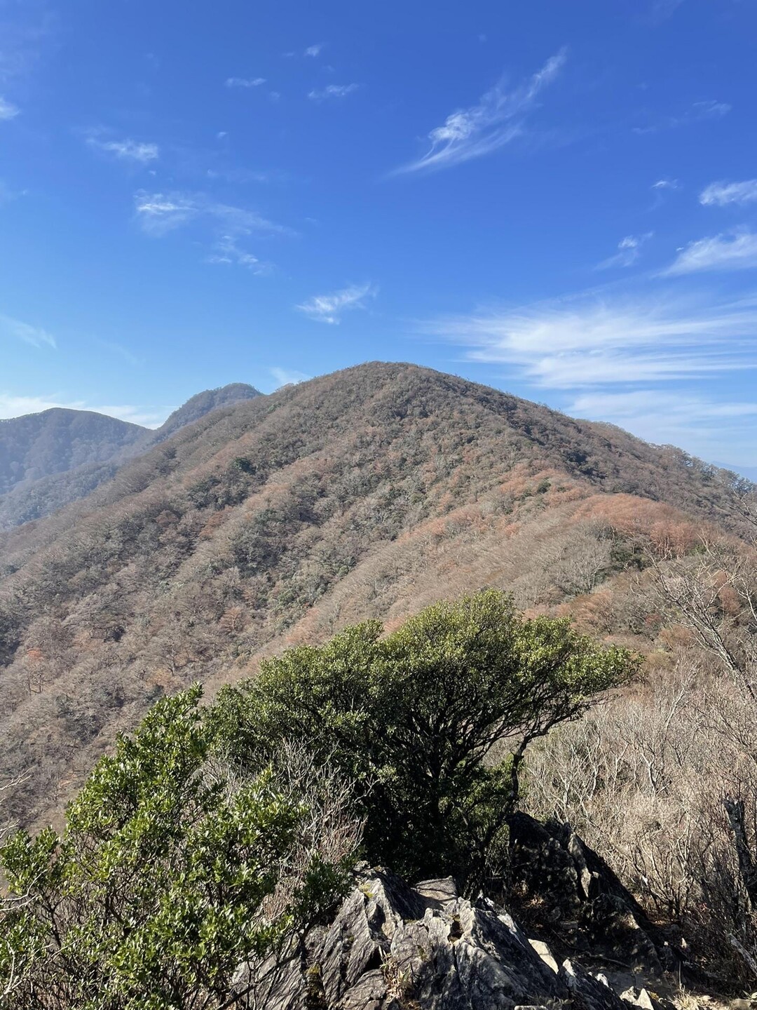 天城山（万三郎岳・万二郎岳）反時計回り / mas3さんの天城山・鉢ノ山・三筋山の活動データ | YAMAP / ヤマップ