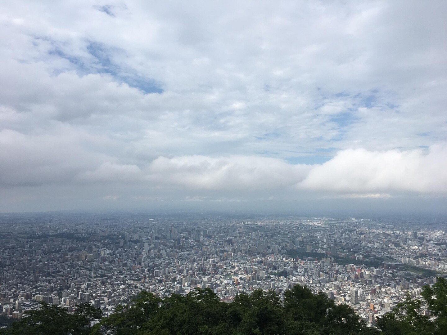 藻岩山 / naka-kohさんの藻岩山の活動データ | YAMAP / ヤマップ