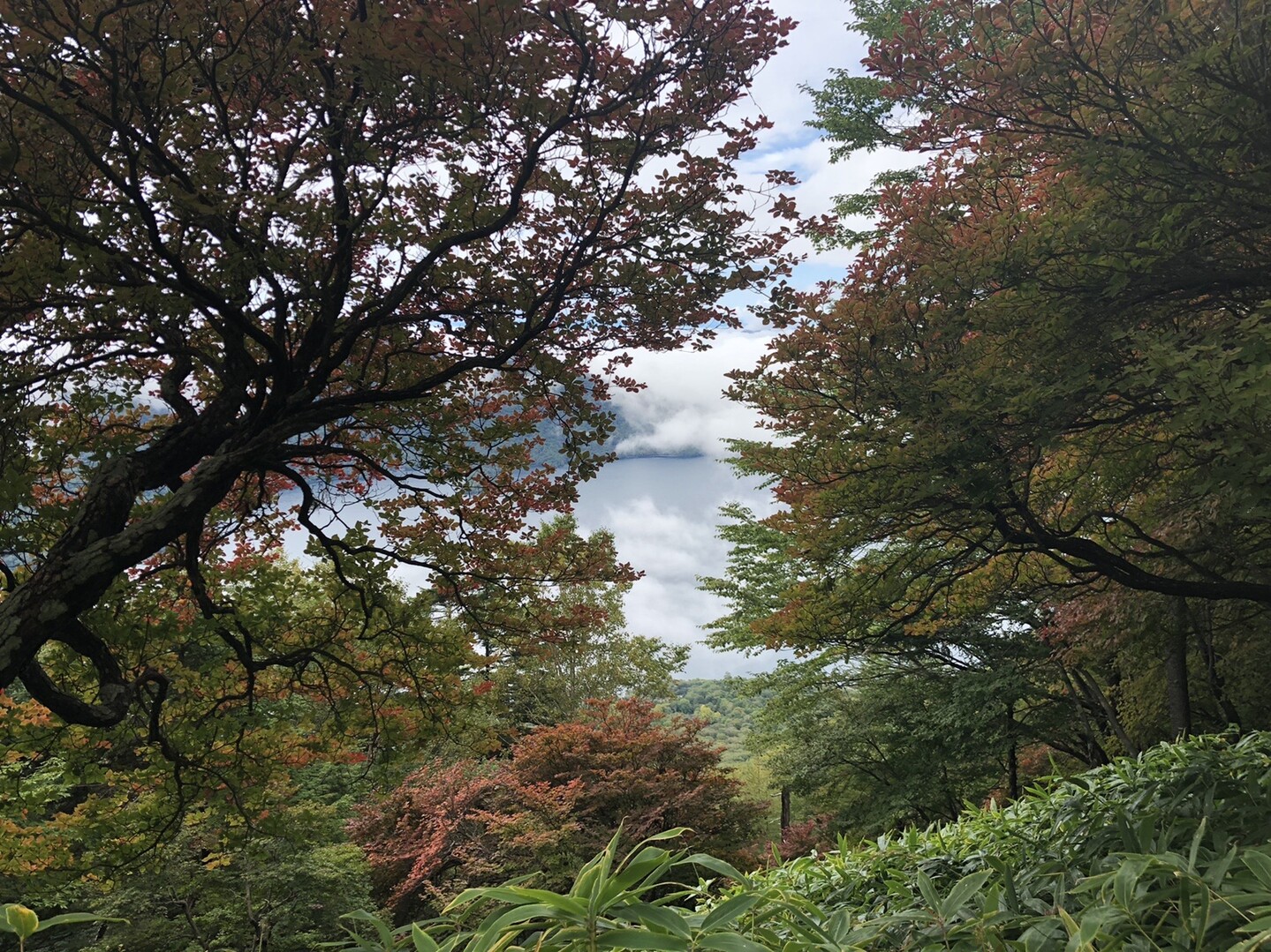 男体山 / Neat_neoさんの男体山の活動データ | YAMAP / ヤマップ