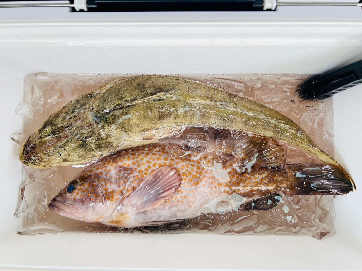 久し振りにナイトUMIPしてきました😁... / TAKさんのモーメント | YAMAP / ヤマップ