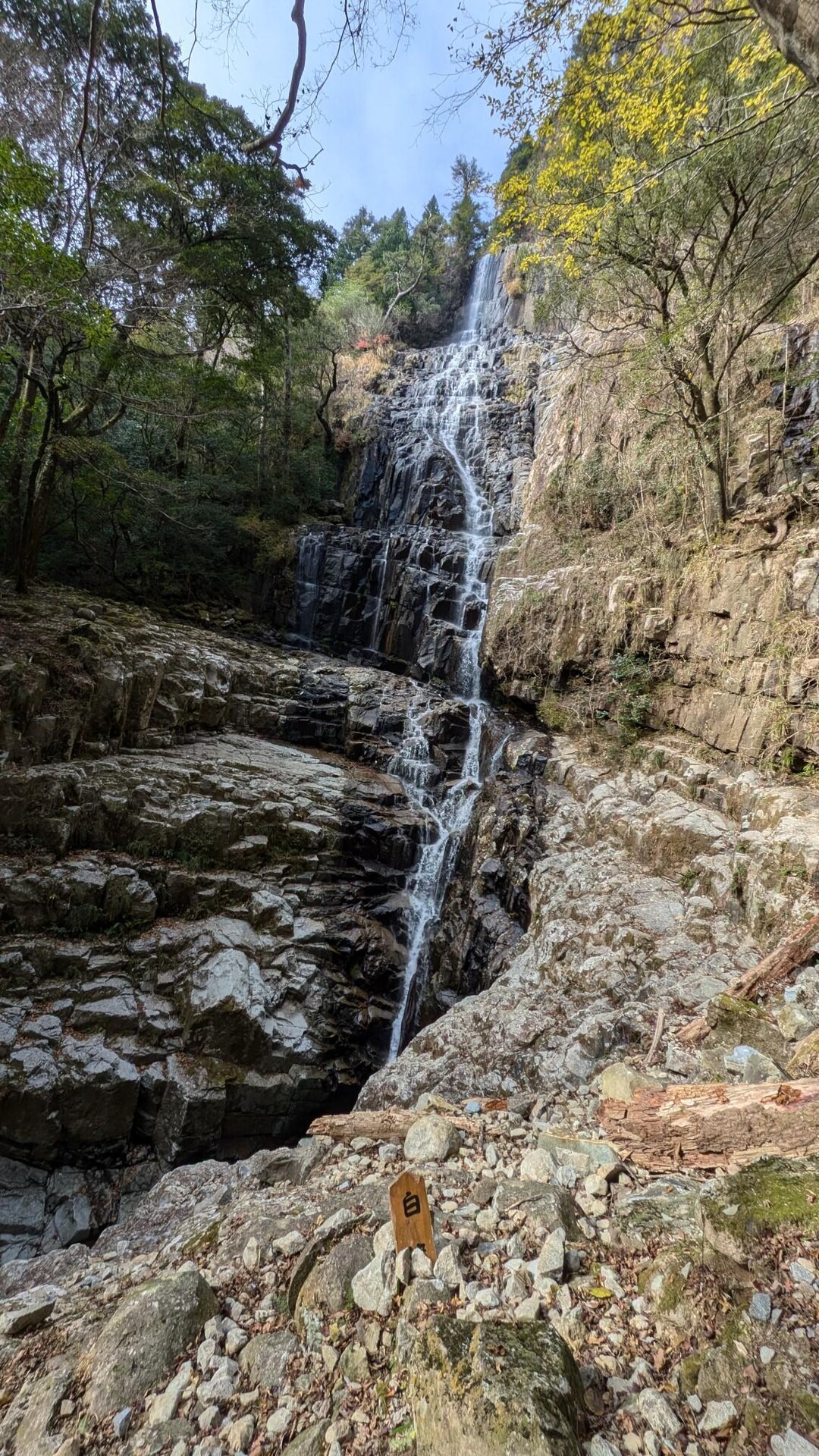 矢筈岳・長崎尾・尾鈴山 / MIYUさんの尾鈴山・長崎尾・矢筈岳の活動データ | YAMAP / ヤマップ