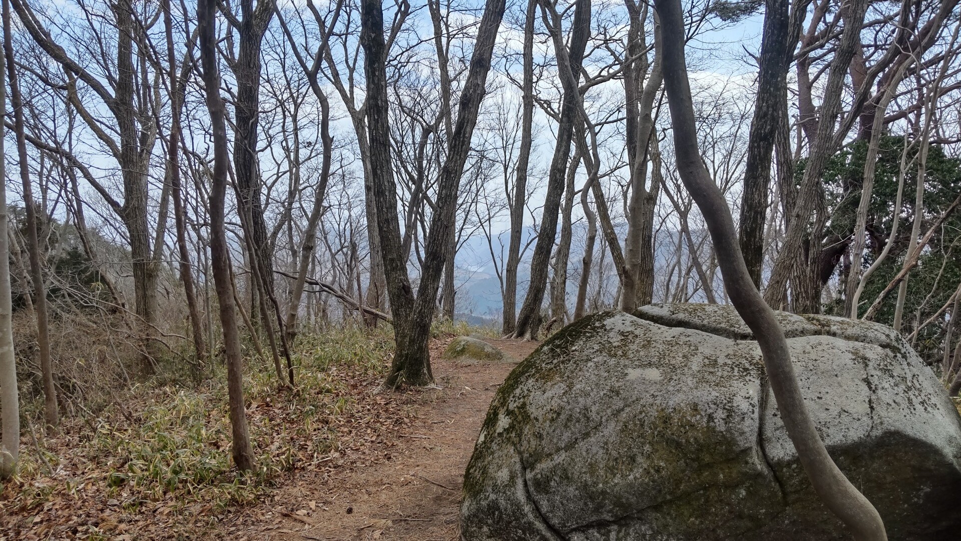 kazeさんの投稿したフィールドメモ | YAMAP / ヤマップ