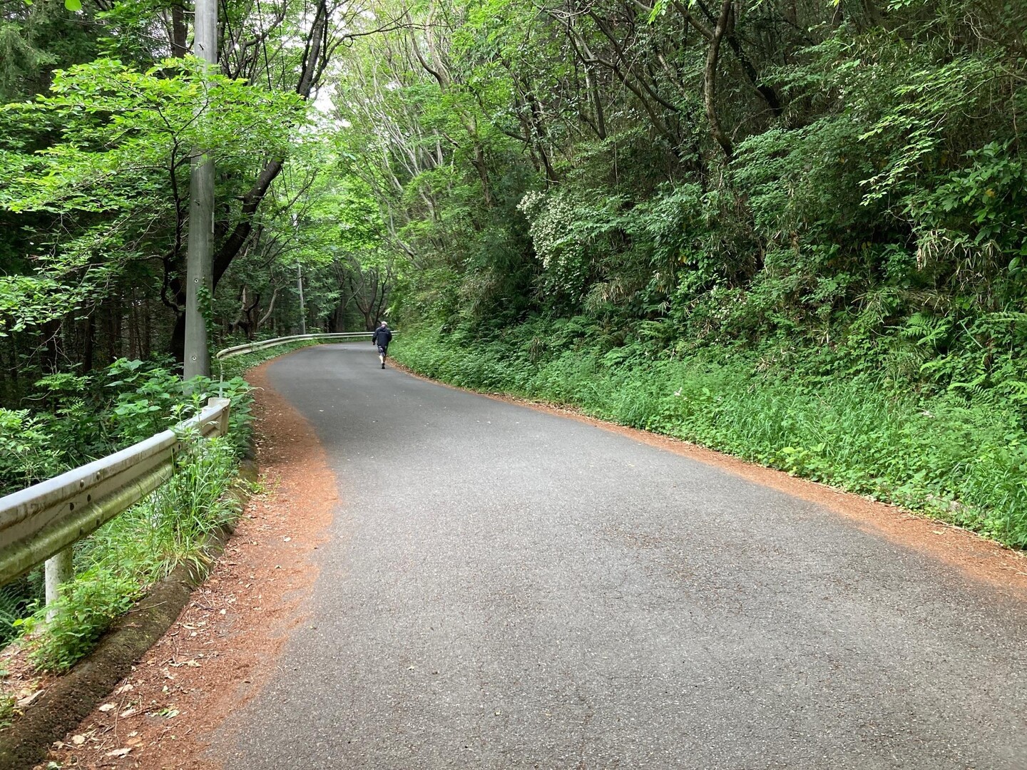 taoさんの投稿したフィールドメモ | YAMAP / ヤマップ