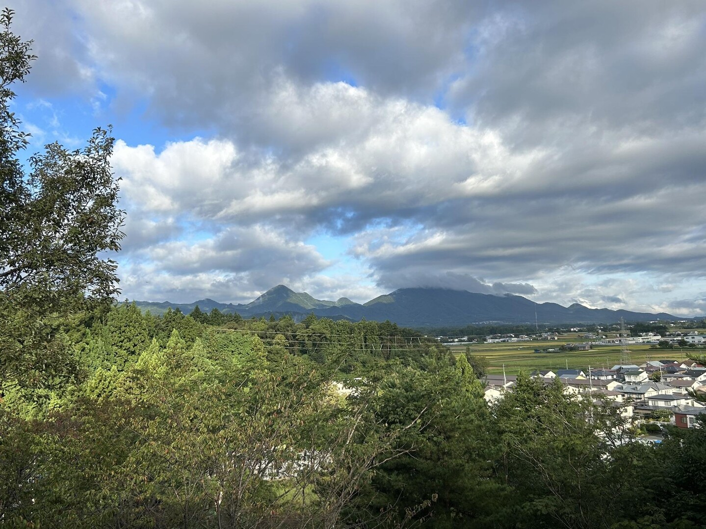 森山まで散歩&ジョギング / Ta2さんの南昌山・東根山・箱ヶ森の活動データ | YAMAP / ヤマップ