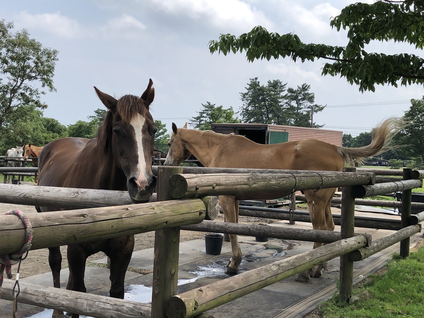 明日、早朝登山なので⛰くじゅうに前泊😋... / tiroさんのモーメント | YAMAP / ヤマップ