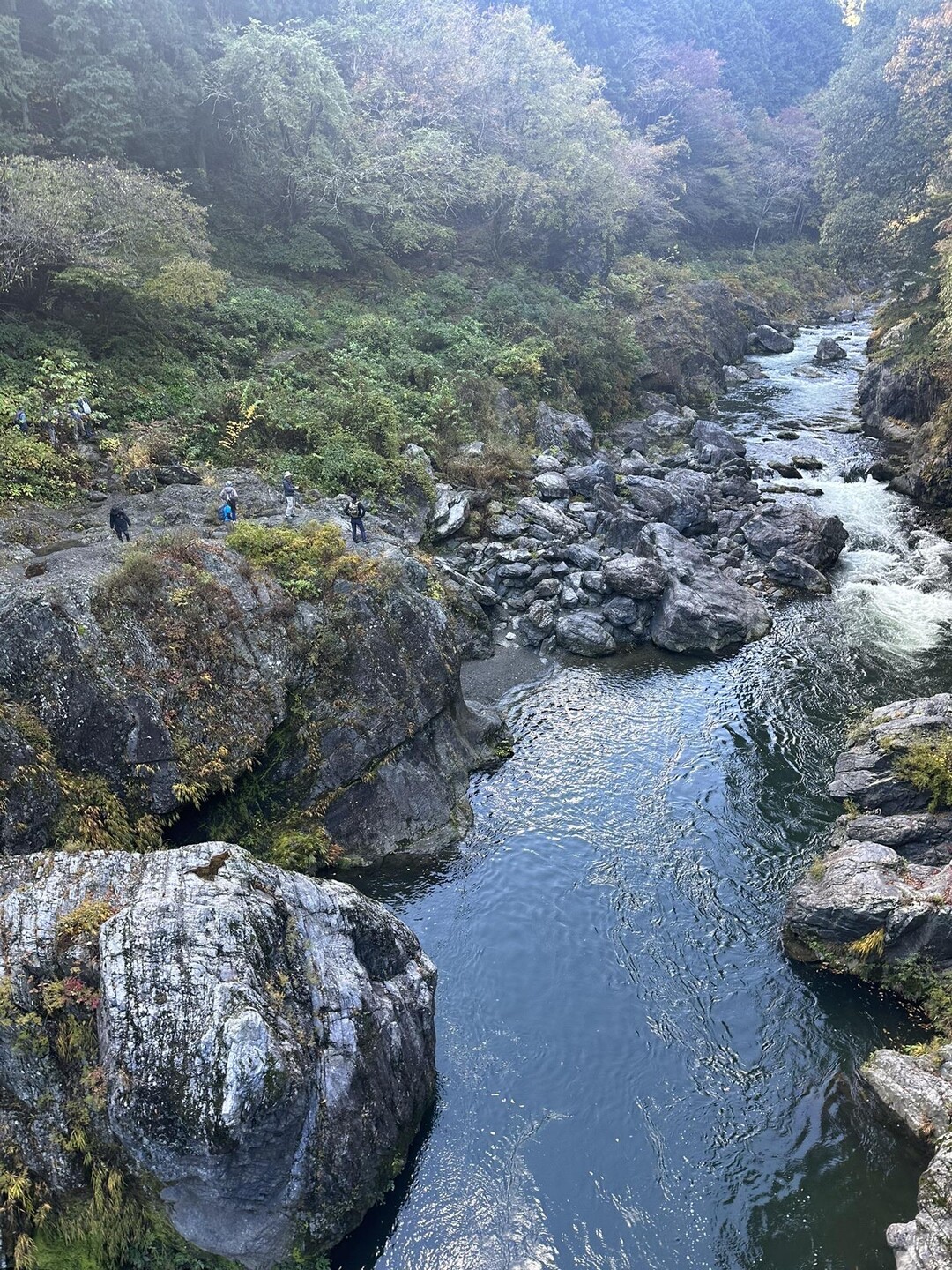 大岳山・御岳山・御前山-2023-11-18 / Kozueさんの大岳山・御岳山・御前山の活動データ | YAMAP / ヤマップ