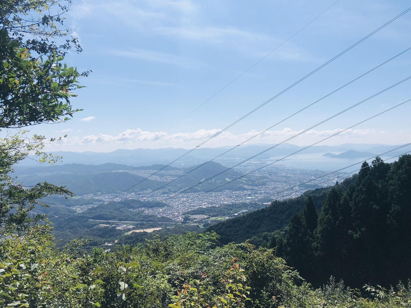 小畑山 / Coo・kie（くぅ🗝️）さんの極楽寺山の活動データ | YAMAP / ヤマップ