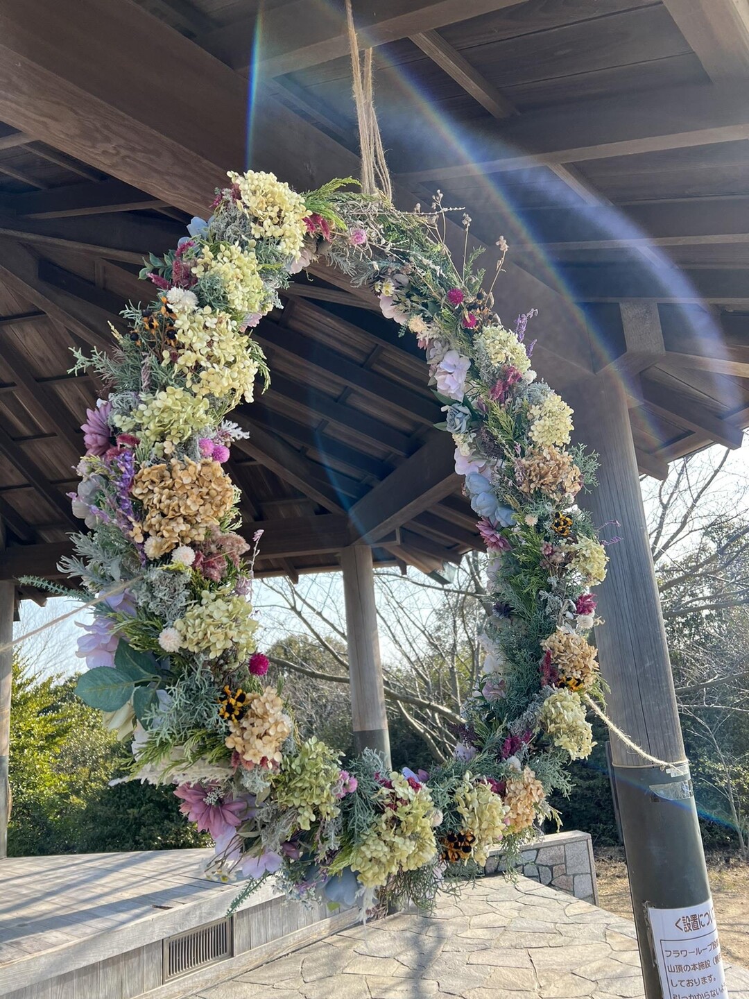 春かな / chieさんの王子が岳・神登山・臥竜山の活動データ | YAMAP / ヤマップ