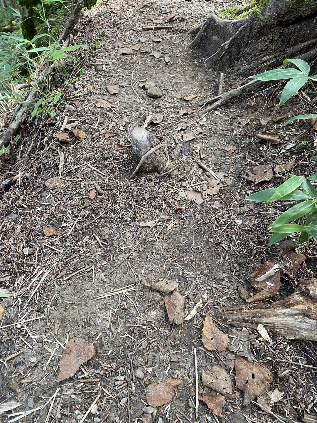 Gentil15さんの投稿したフィールドメモ | YAMAP / ヤマップ