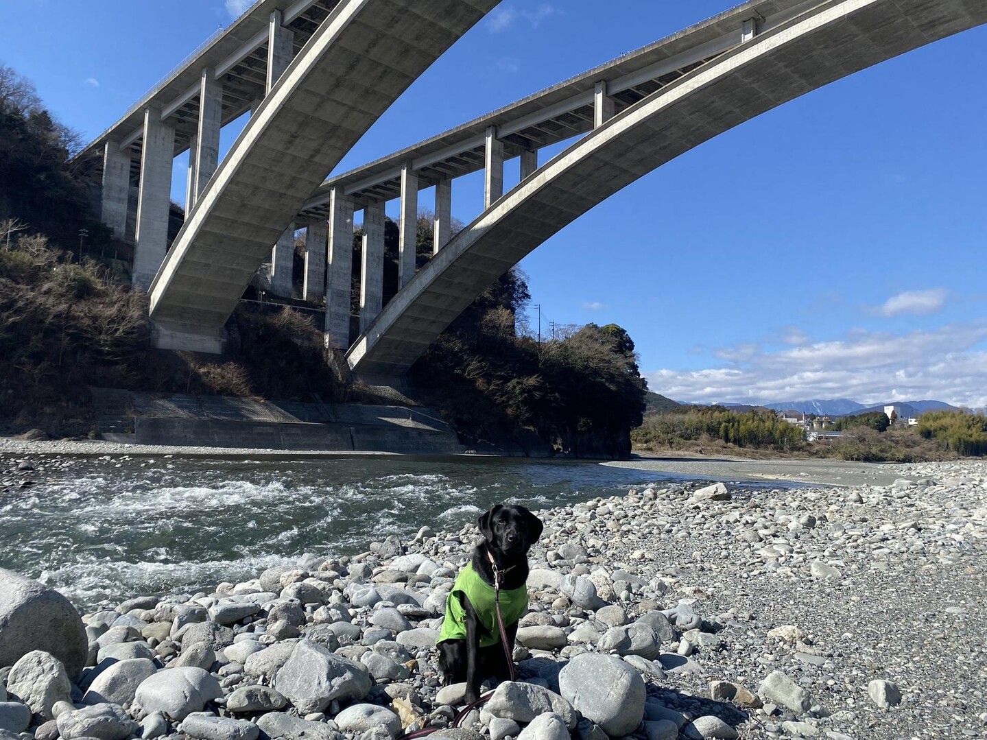 岩本山・明星山・新富士川橋の下with🐕‍🦺 / ゆっちさんの岩本山・明星山の活動データ | YAMAP / ヤマップ