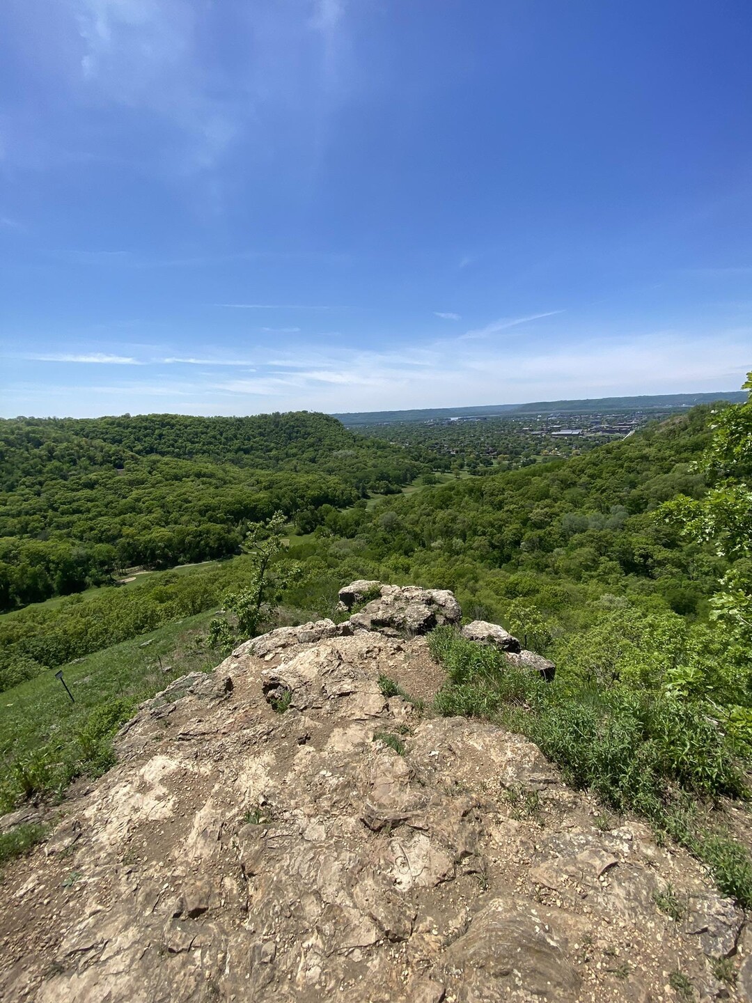 Hixon Forest（La Crosse, WI）-2024-05-16 / sanaviさんのウォーキングの活動データ | YAMAP / ヤマップ