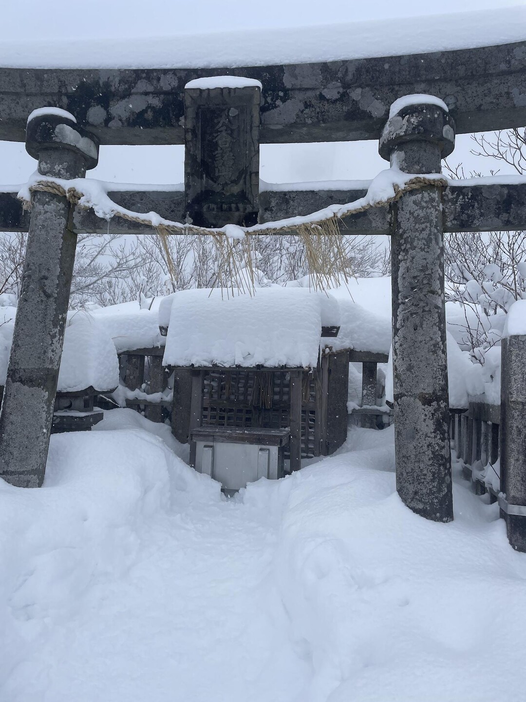 弥彦山2025初登り⛩️ / megさんの弥彦山・多宝山・雨乞山の活動データ | YAMAP / ヤマップ