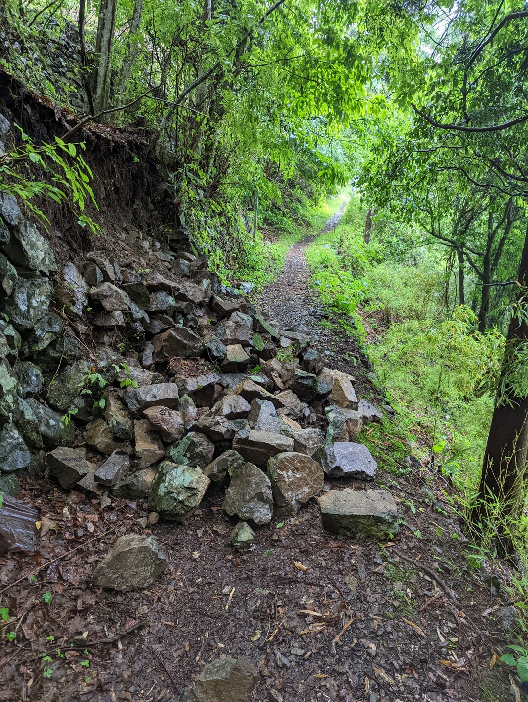 toshiさんの投稿したフィールドメモ | YAMAP / ヤマップ