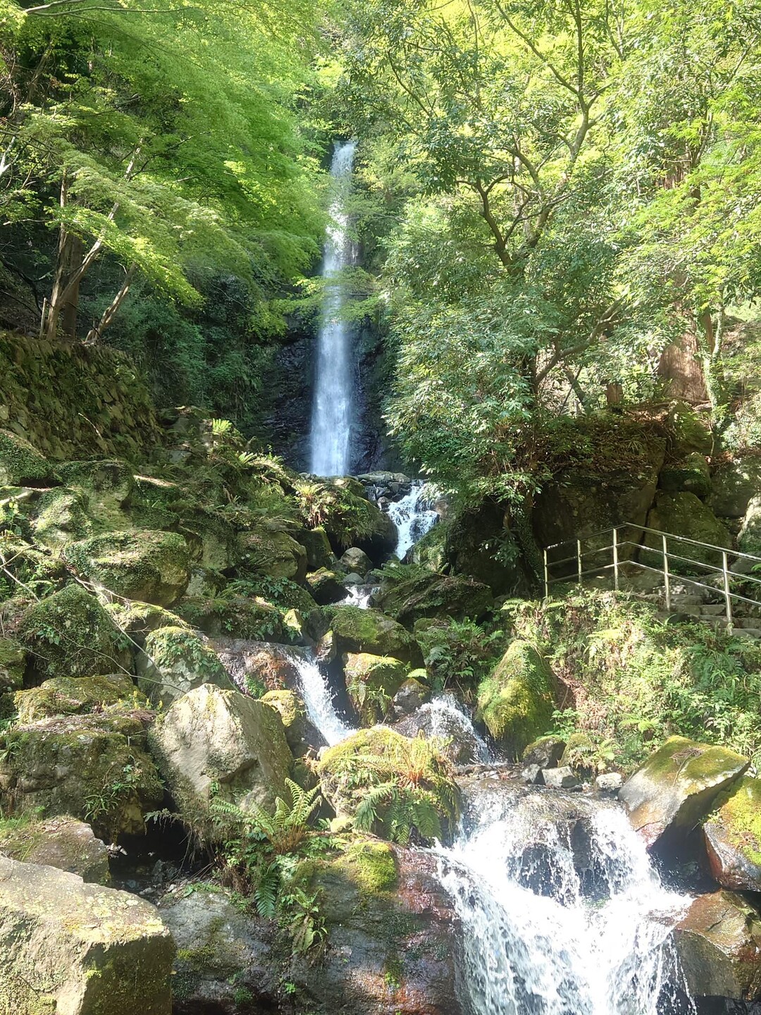 三方山・小倉山・北尾根P826峰 / まゆさんの養老山・笙ヶ岳・三方山の活動データ | YAMAP / ヤマップ
