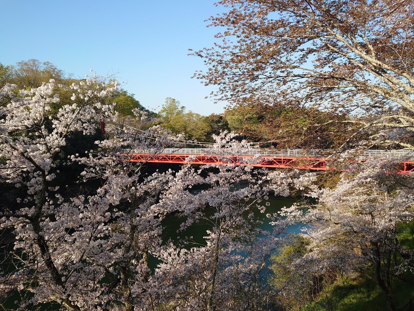 腕扱山・風切山 / kontomoさんの風切山の活動データ | YAMAP / ヤマップ