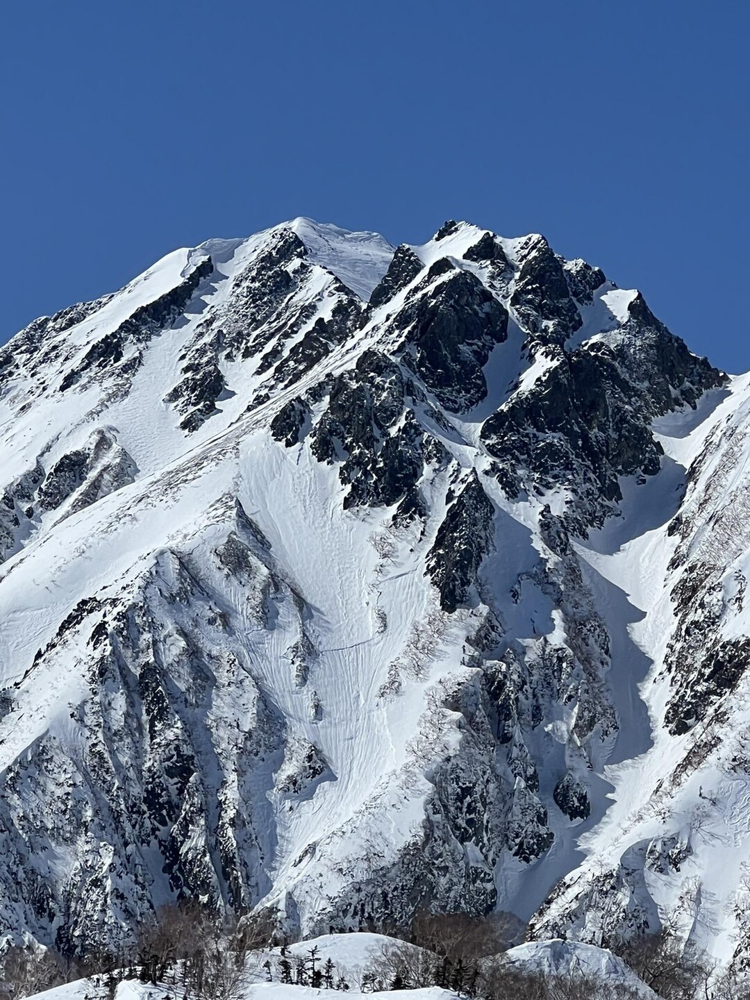 北アルプスの山々を眺めに大遠見山🏔️ / tontonさんの鹿島槍ヶ岳・五竜岳（五龍岳）・唐松岳の活動データ | YAMAP / ヤマップ