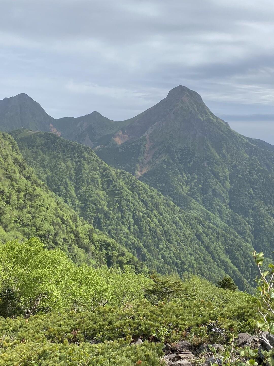 編笠山・西ギボシ・東ギボシ・権現岳・三ツ頭 / tutuさんの八ヶ岳（赤岳・硫黄岳・天狗岳）の活動データ | YAMAP / ヤマップ
