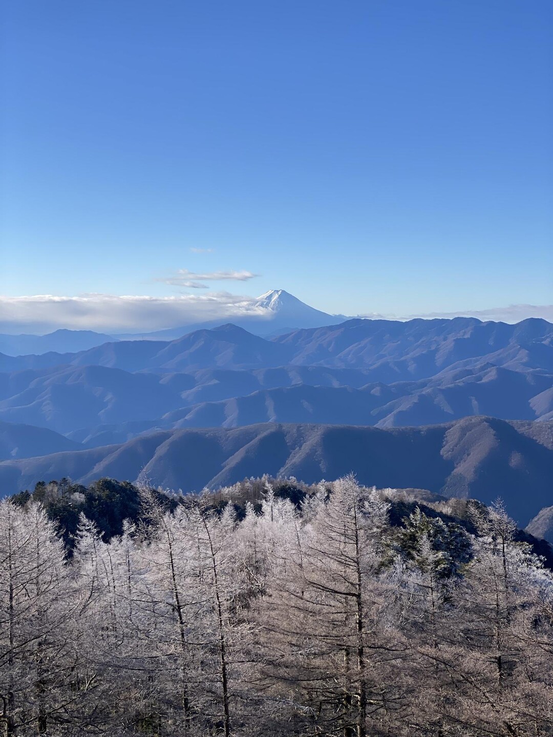 七ッ石小屋（榧ノ木尾根→赤指尾根） / Hase100さんの雲取山・鷹ノ巣山・七ツ石山の活動データ | YAMAP / ヤマップ