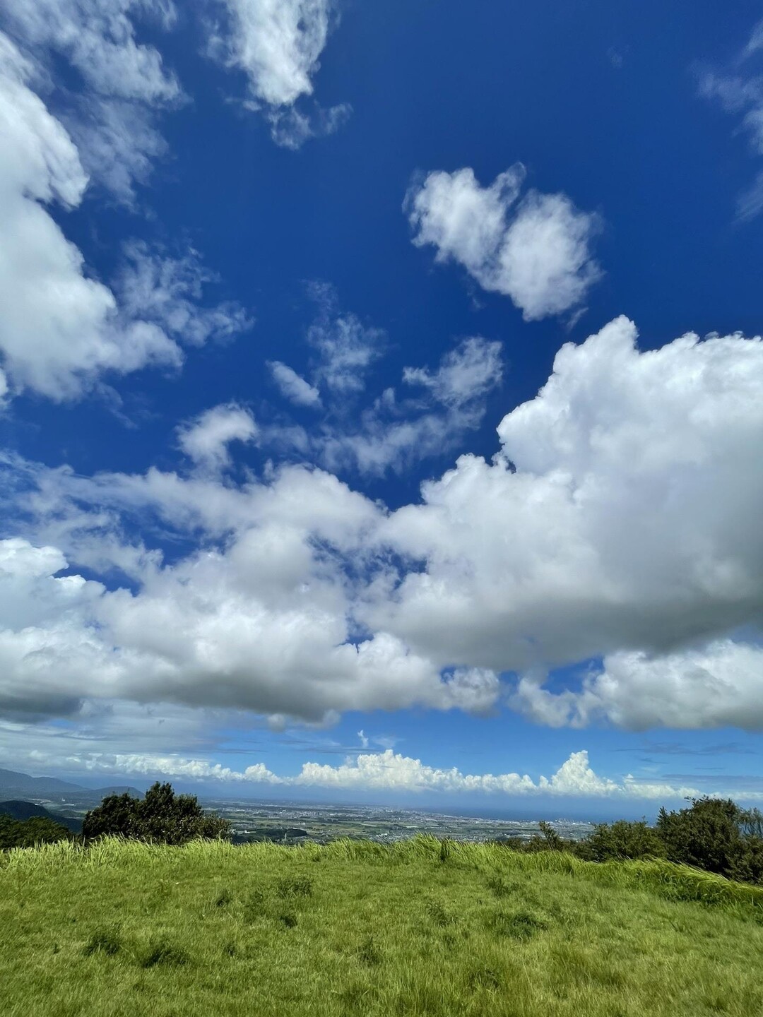 桝形山 / rubyさんの堀坂山・観音岳・桝形山（白米城）の活動データ | YAMAP / ヤマップ