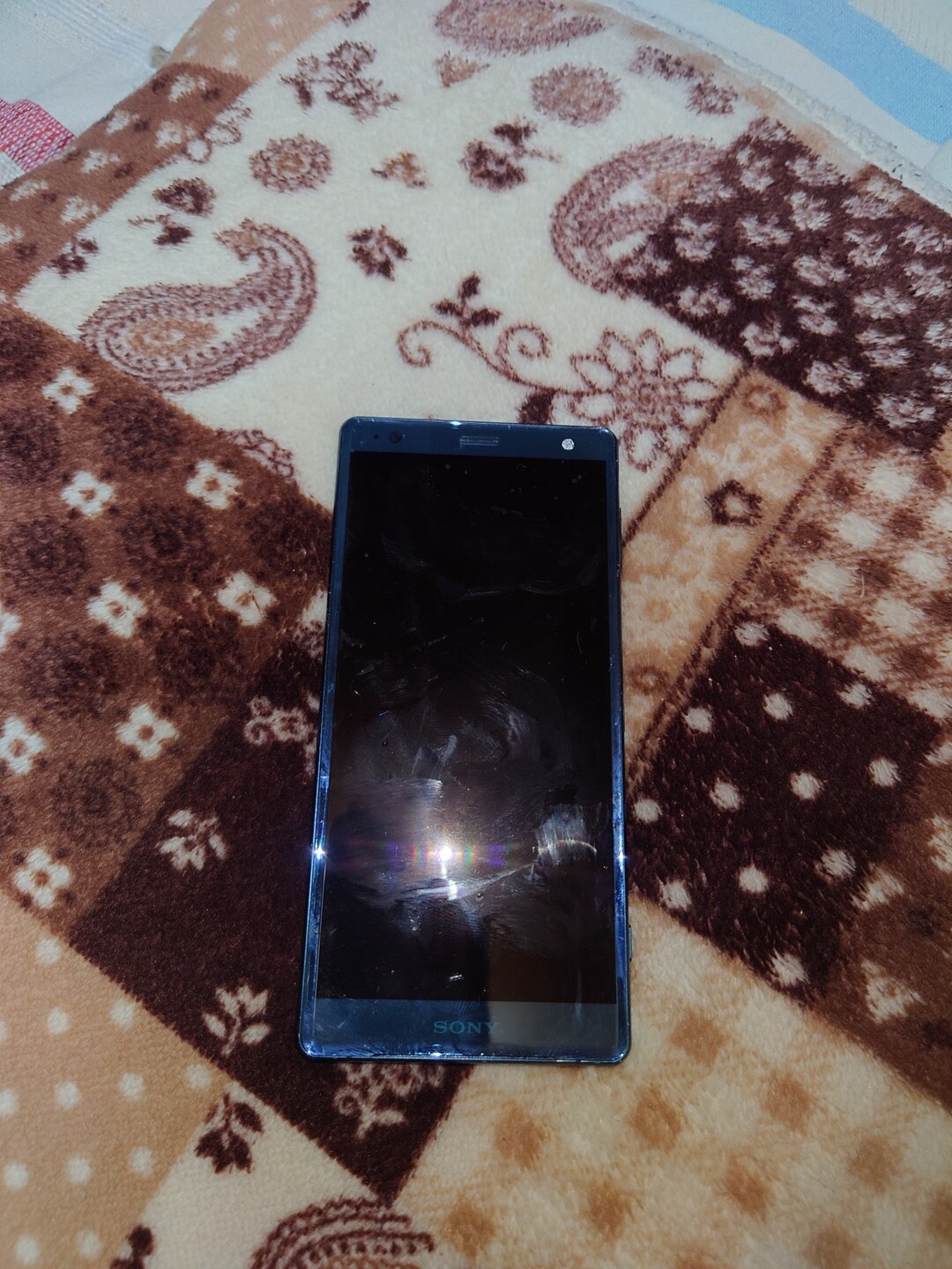 My SOV37御臨終 / リンタイオウさんのモーメント | YAMAP / ヤマップ