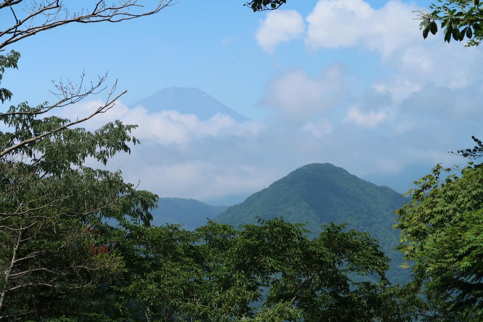 丹沢縦走(西丹沢ビジターセンター〜大倉) / KJR-Rさんの塔ノ岳・丹沢山・蛭ヶ岳の活動データ | YAMAP / ヤマップ