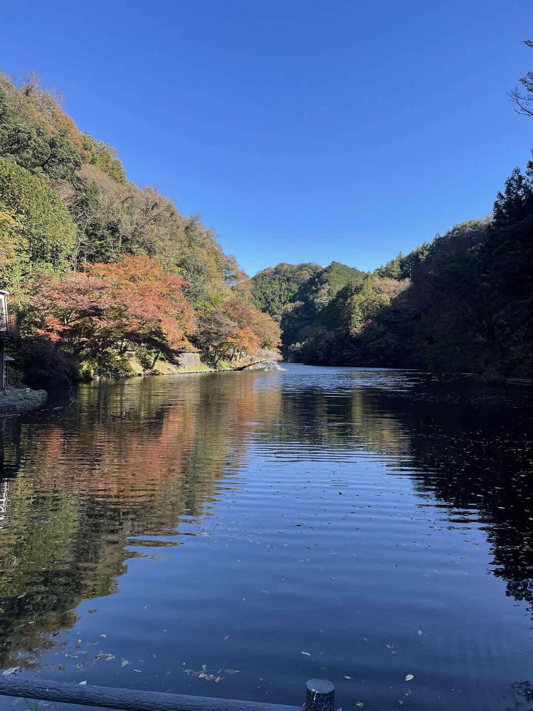 東三角山・東織部ヶ峰 / kozyさんの日和田山・物見山の活動データ | YAMAP / ヤマップ