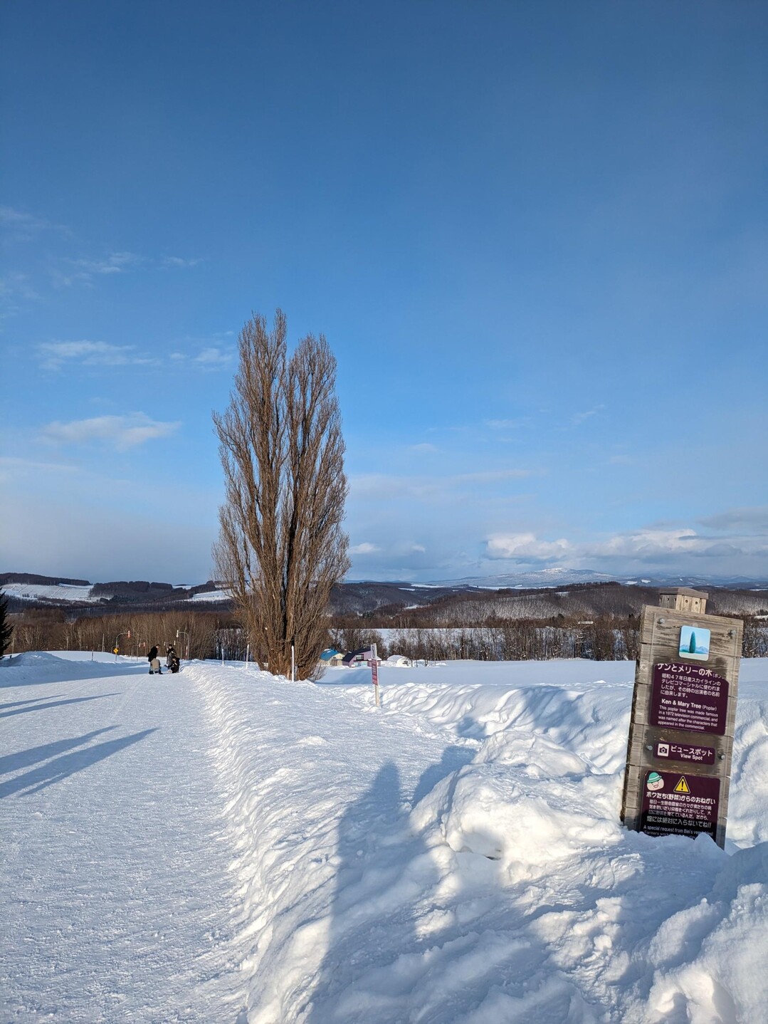 三段山の帰りに美瑛のパッチワークの丘に寄... / YNさんのモーメント | YAMAP / ヤマップ