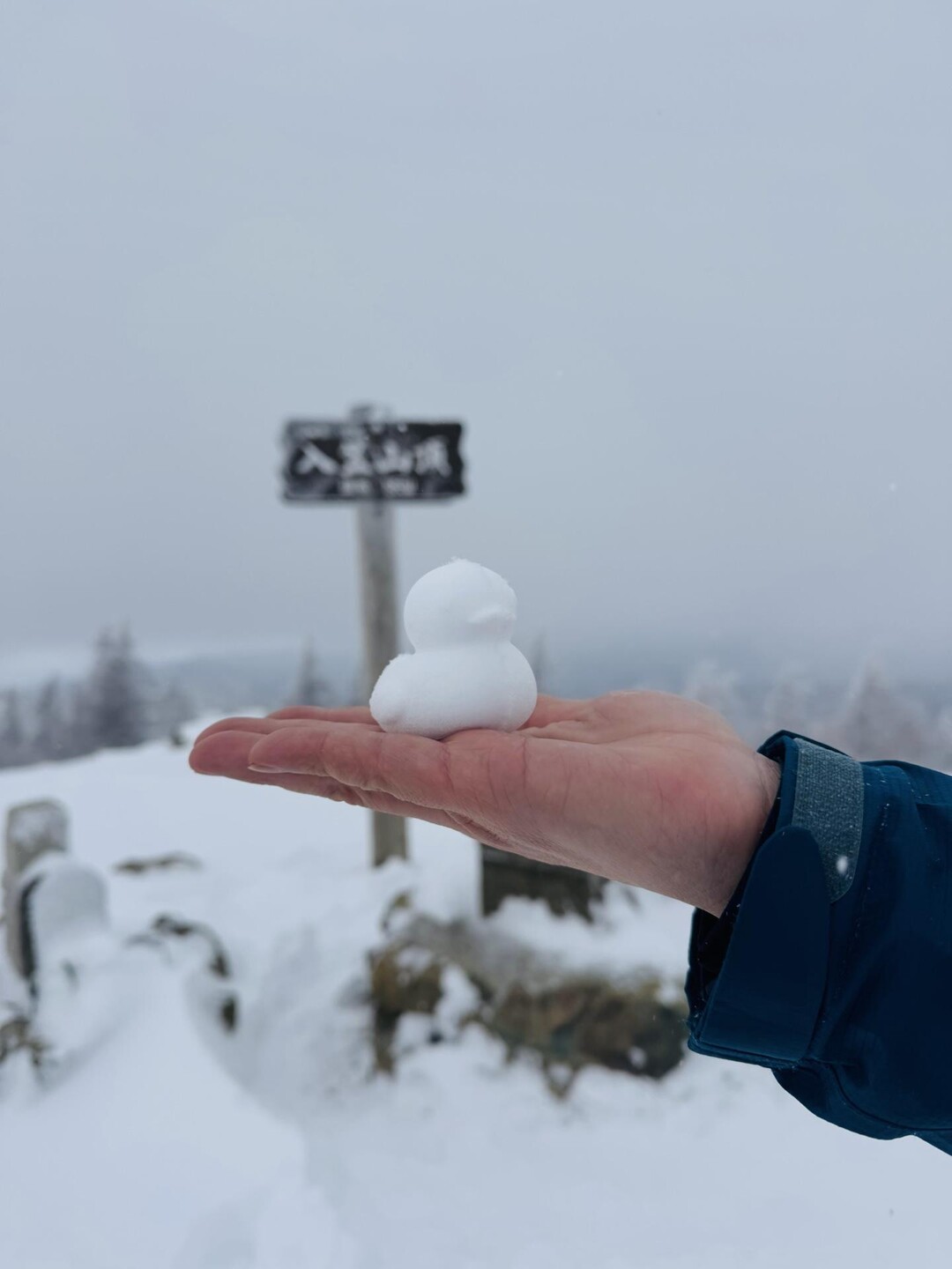 アカノラ山・入笠山 / ayakaさんの入笠山の活動データ | YAMAP / ヤマップ