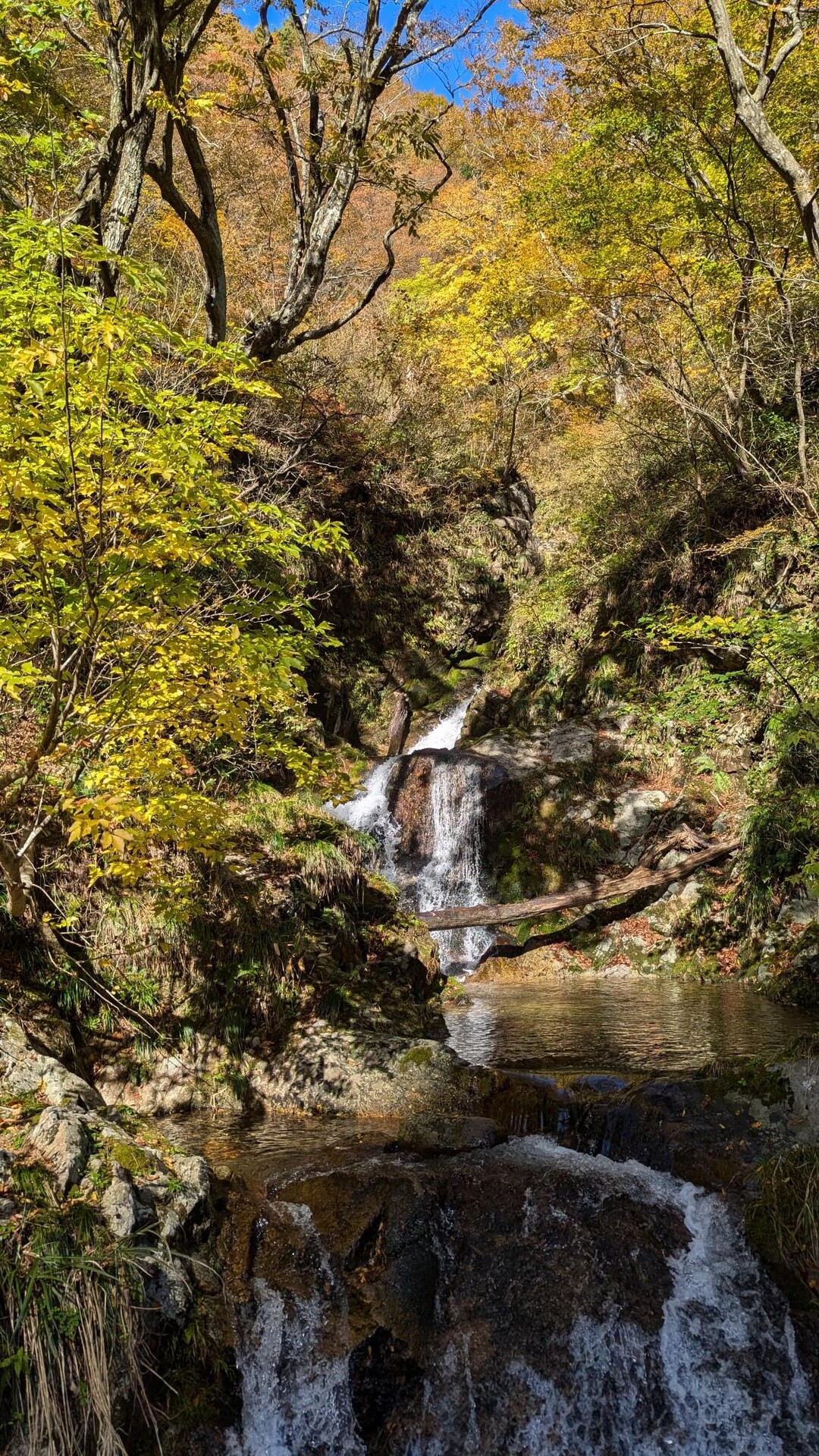 赤芝峡 / やじん1978さんの光兎山・奥山（虚空蔵峰）の活動データ | YAMAP / ヤマップ