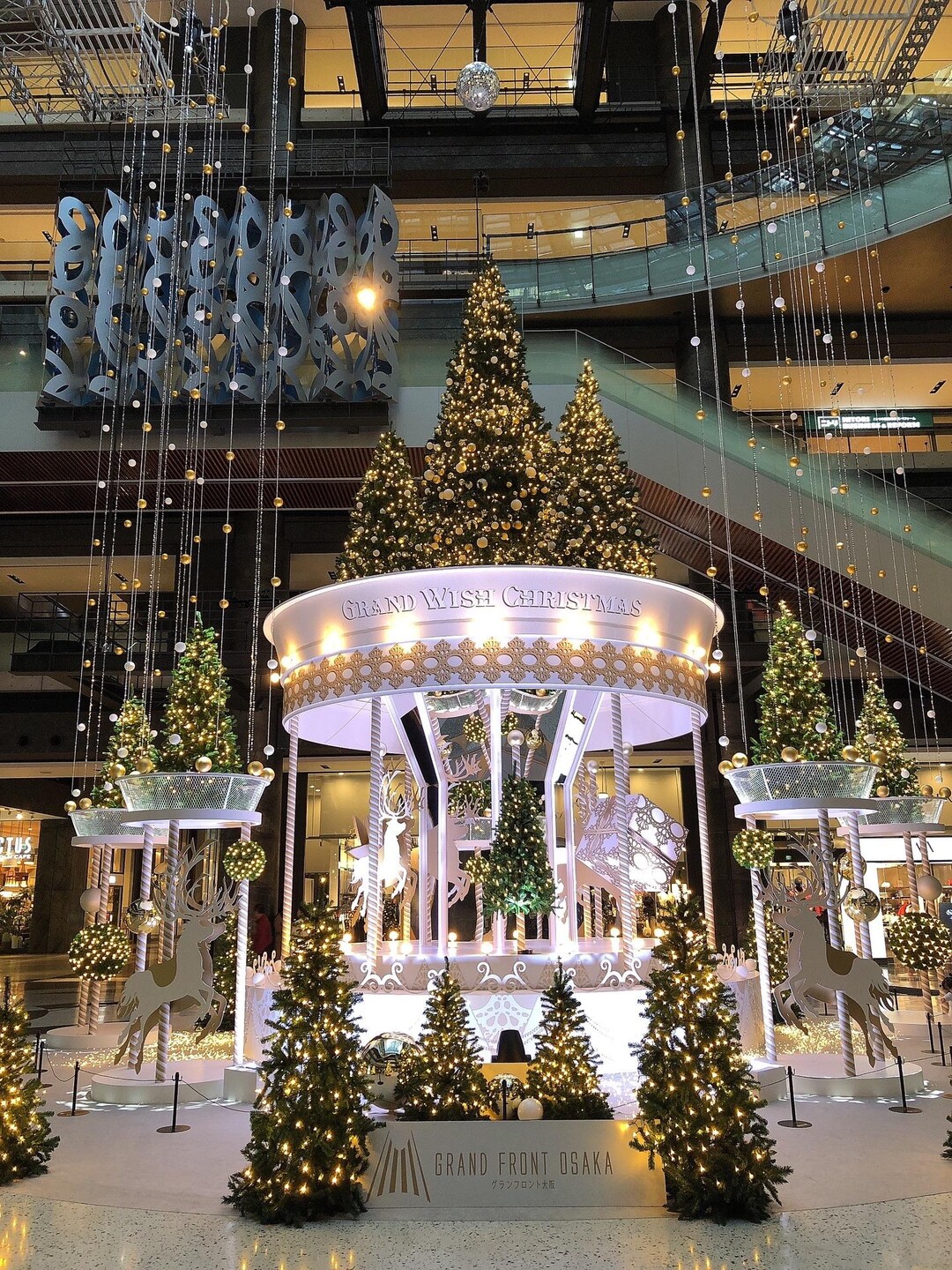 Merry Christmas🎄 / まやさんのモーメント | YAMAP / ヤマップ