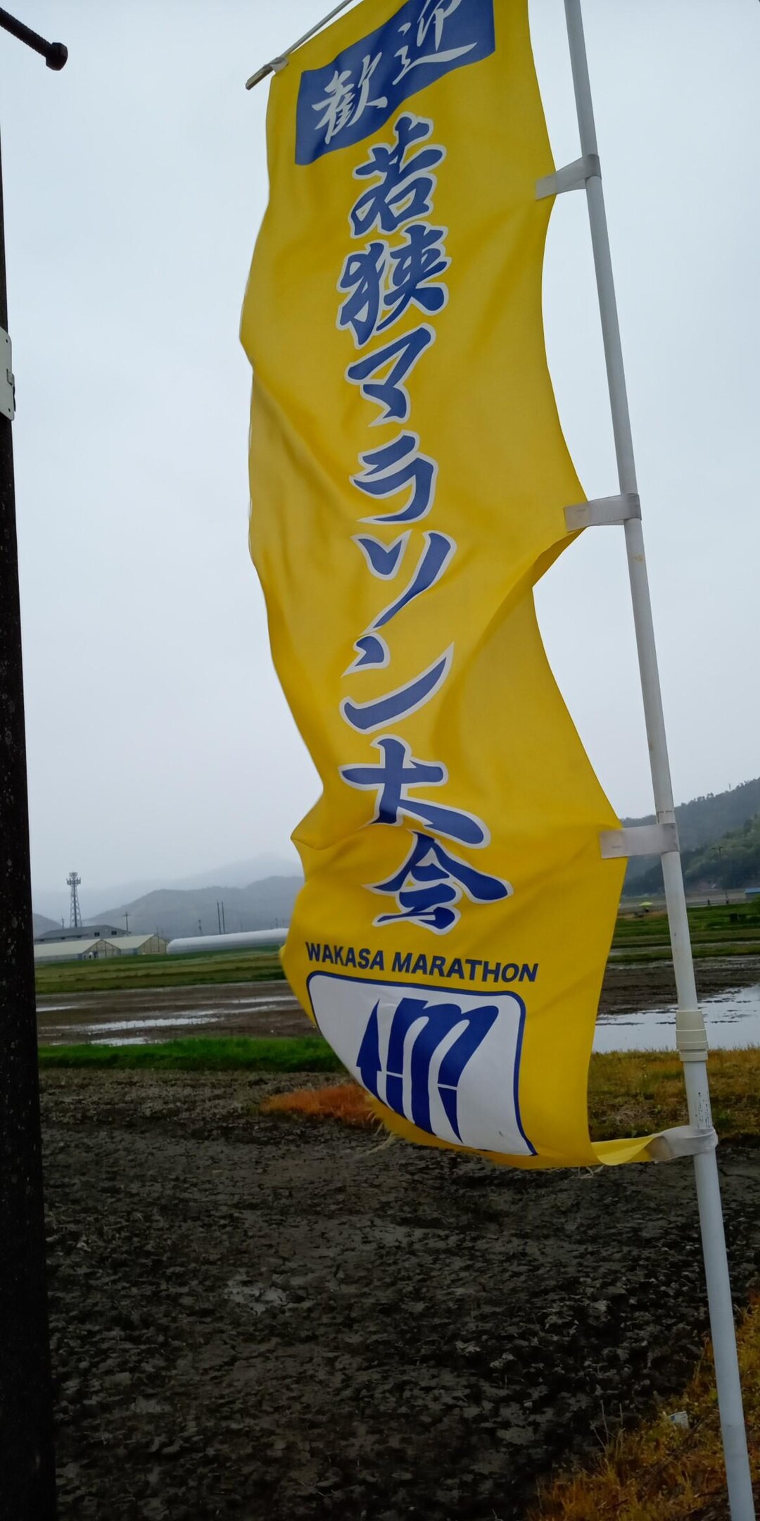 OBAMA若狭マラソン / よっちゃんさんのモーメント | YAMAP / ヤマップ