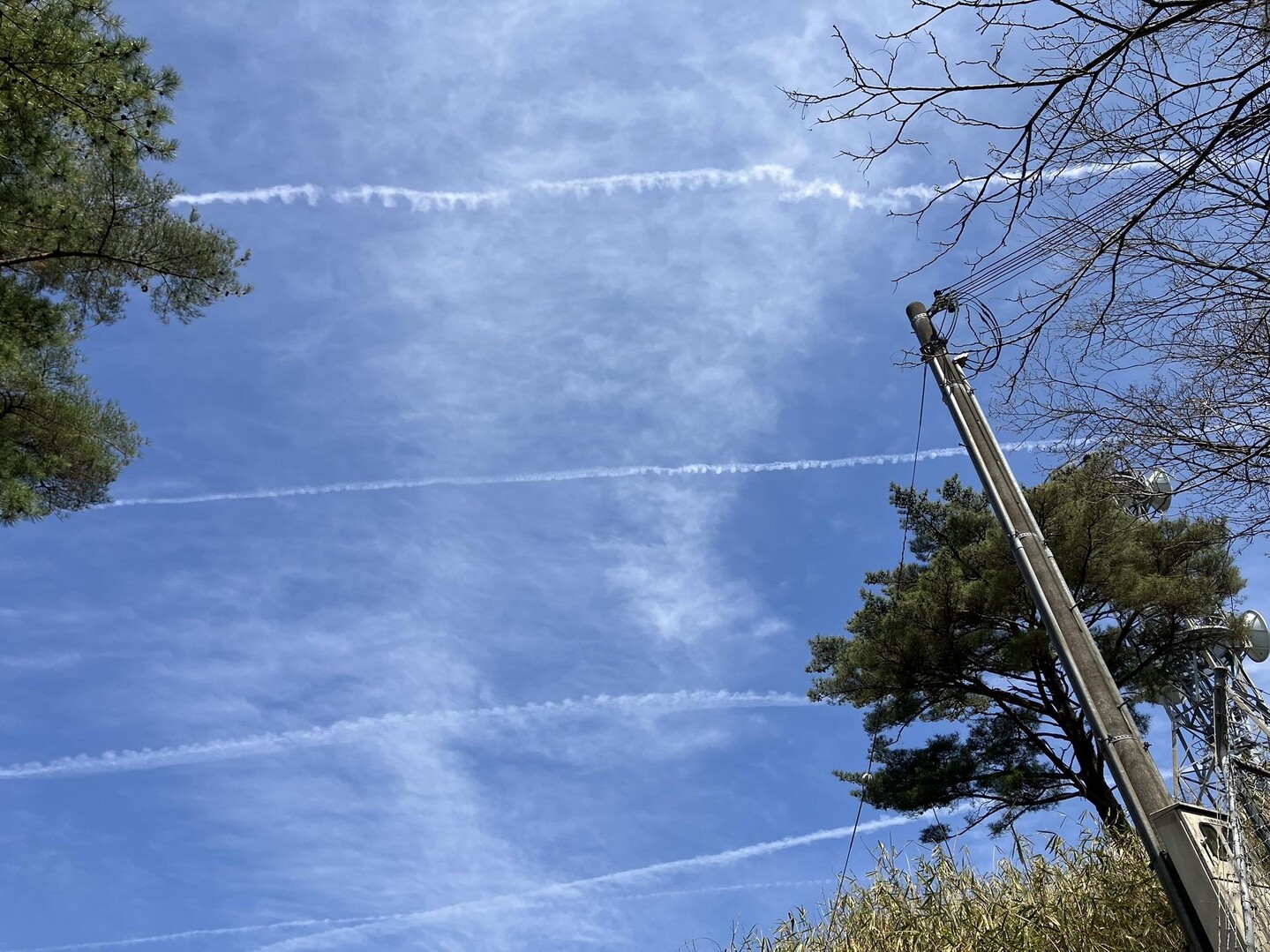 青谷道〜摩耶山〜六甲山山頂〜宝塚 / gogoノ日さんの六甲山・長峰山・摩耶山の活動データ | YAMAP / ヤマップ