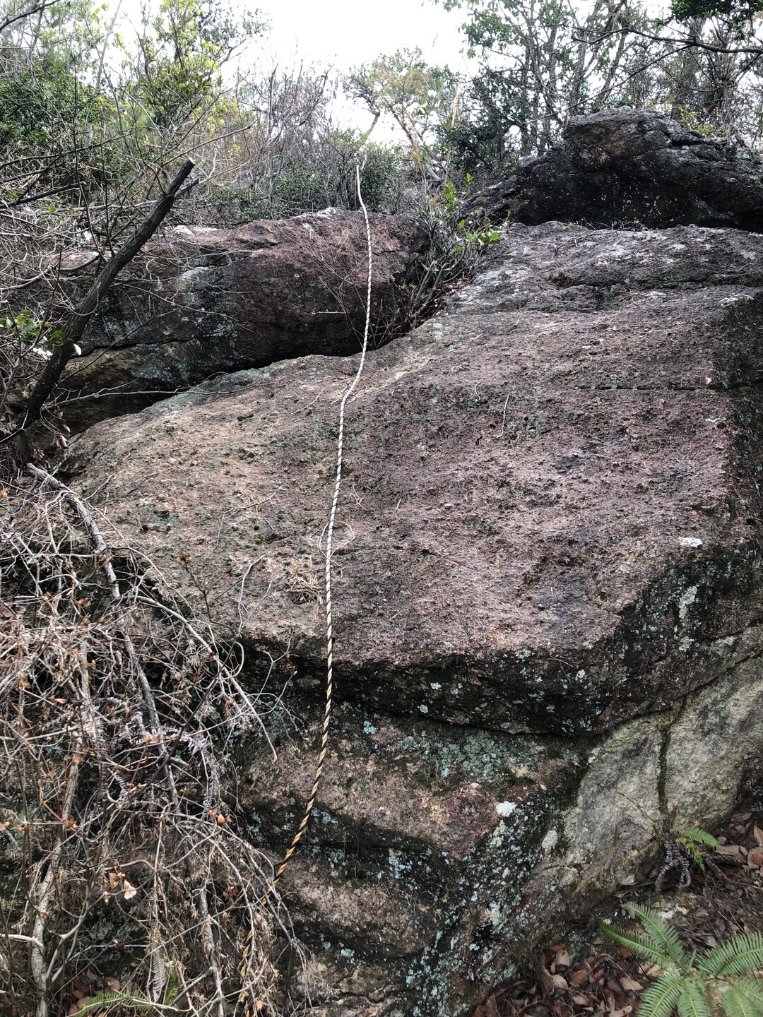 idasさんの投稿したフィールドメモ | YAMAP / ヤマップ