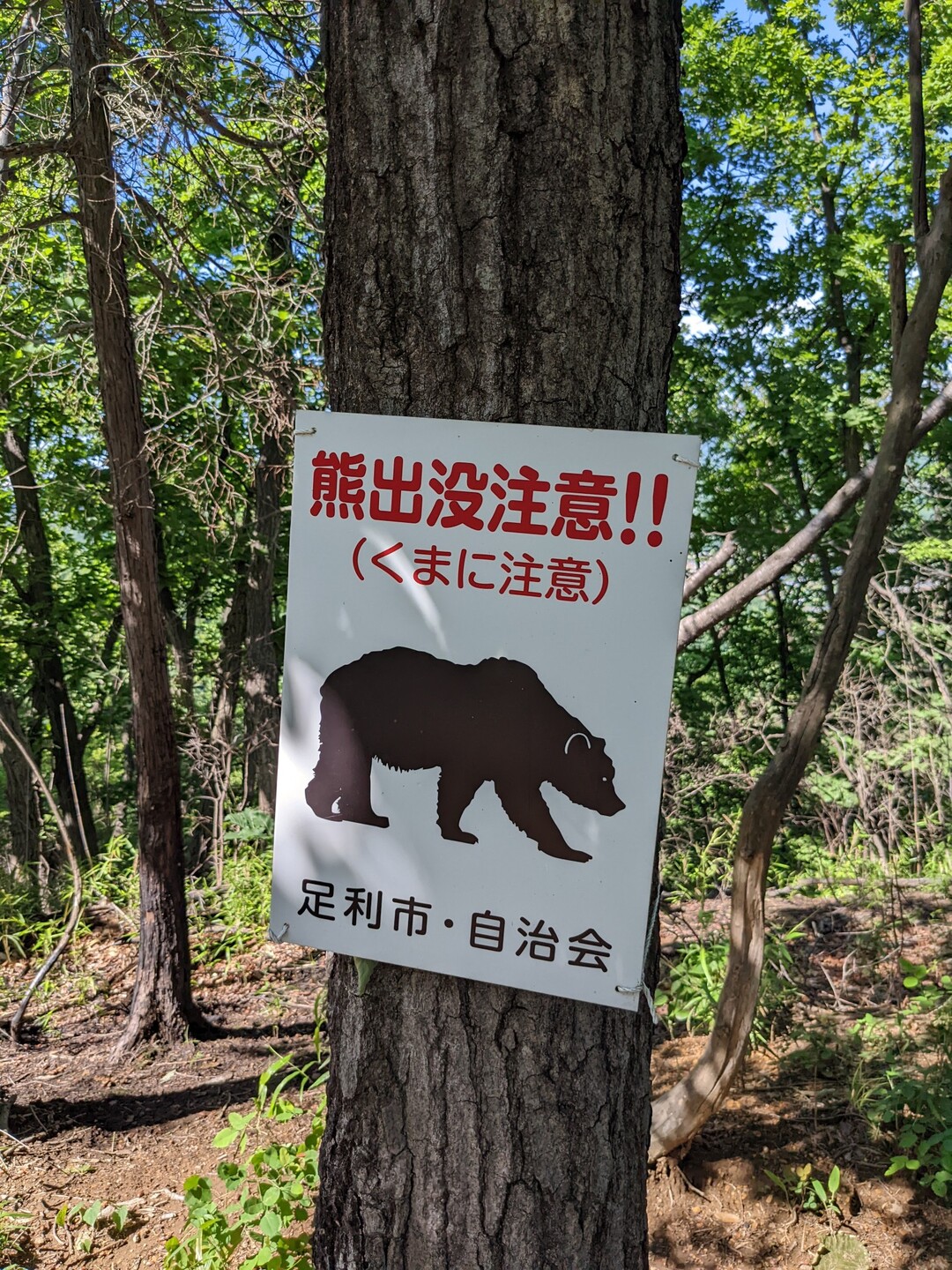 しんちゃん26さんの投稿したフィールドメモ | YAMAP / ヤマップ