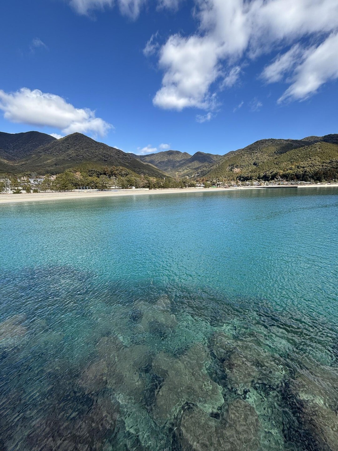 八鬼山 / もなかさんの八鬼山・頂山・オハイの活動日記 | YAMAP / ヤマップ