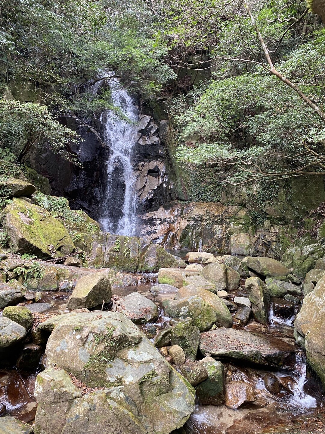 御手洗山・高取山・白坂山・綾部山・白禿山・山都・雲野尾峠(鳥栖) / em1209さんの九千部山・石谷山の活動データ | YAMAP / ヤマップ