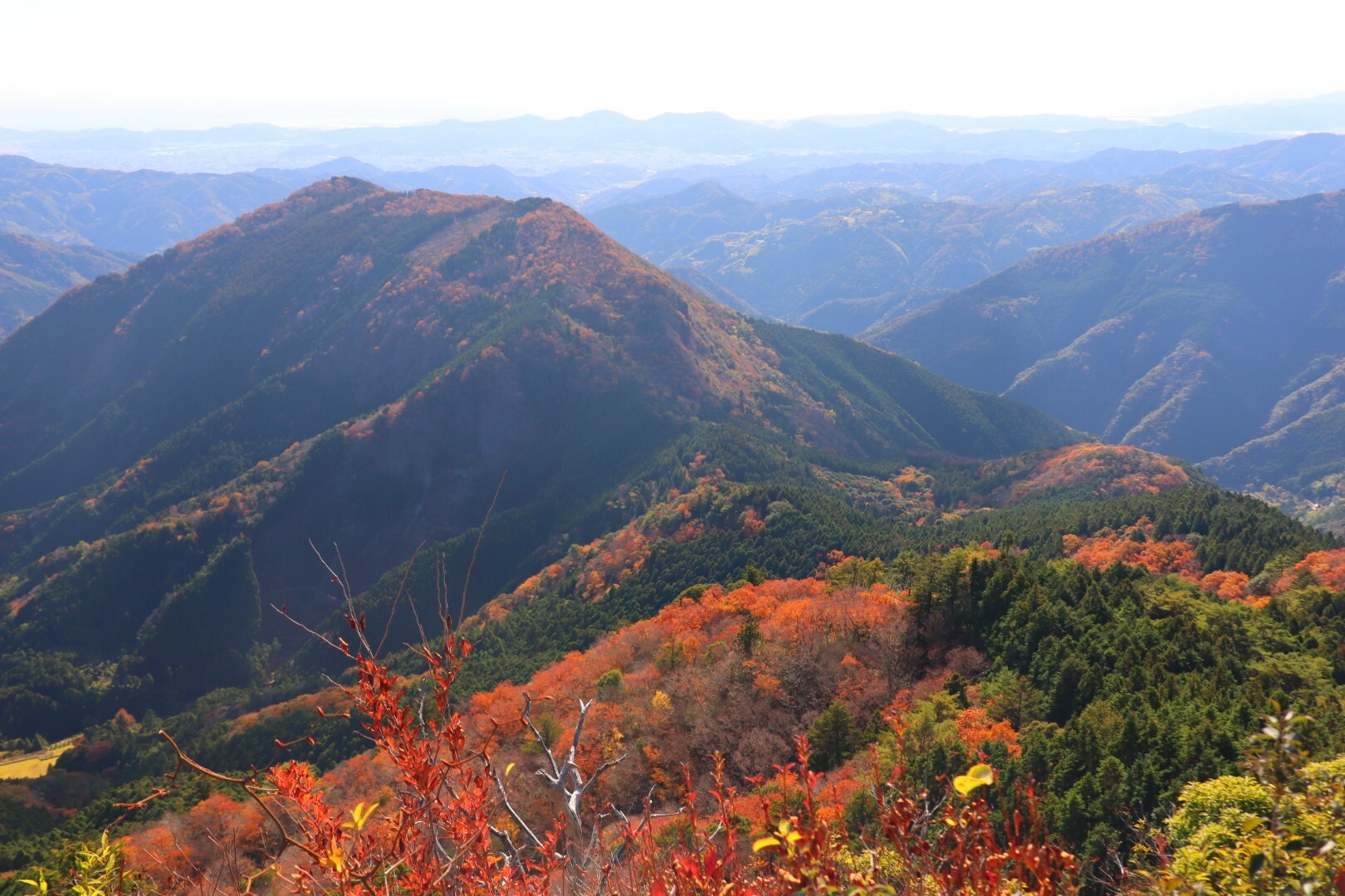 国見山・敷ノ山・みはらしの峰 / Miekaさんの国見山（雪光山）の活動データ | YAMAP / ヤマップ