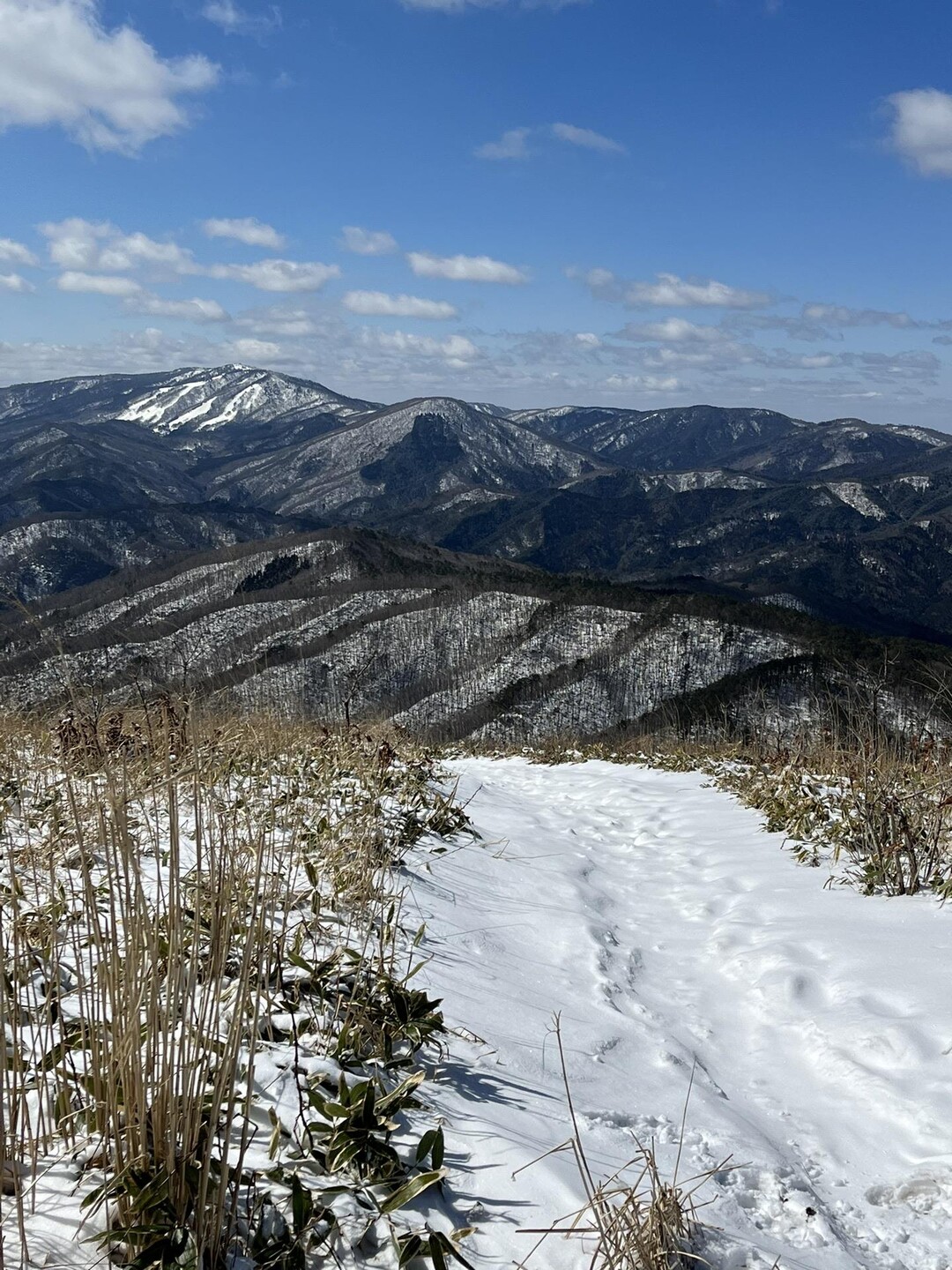 深入山 / Amiさんの深入山の活動データ | YAMAP / ヤマップ