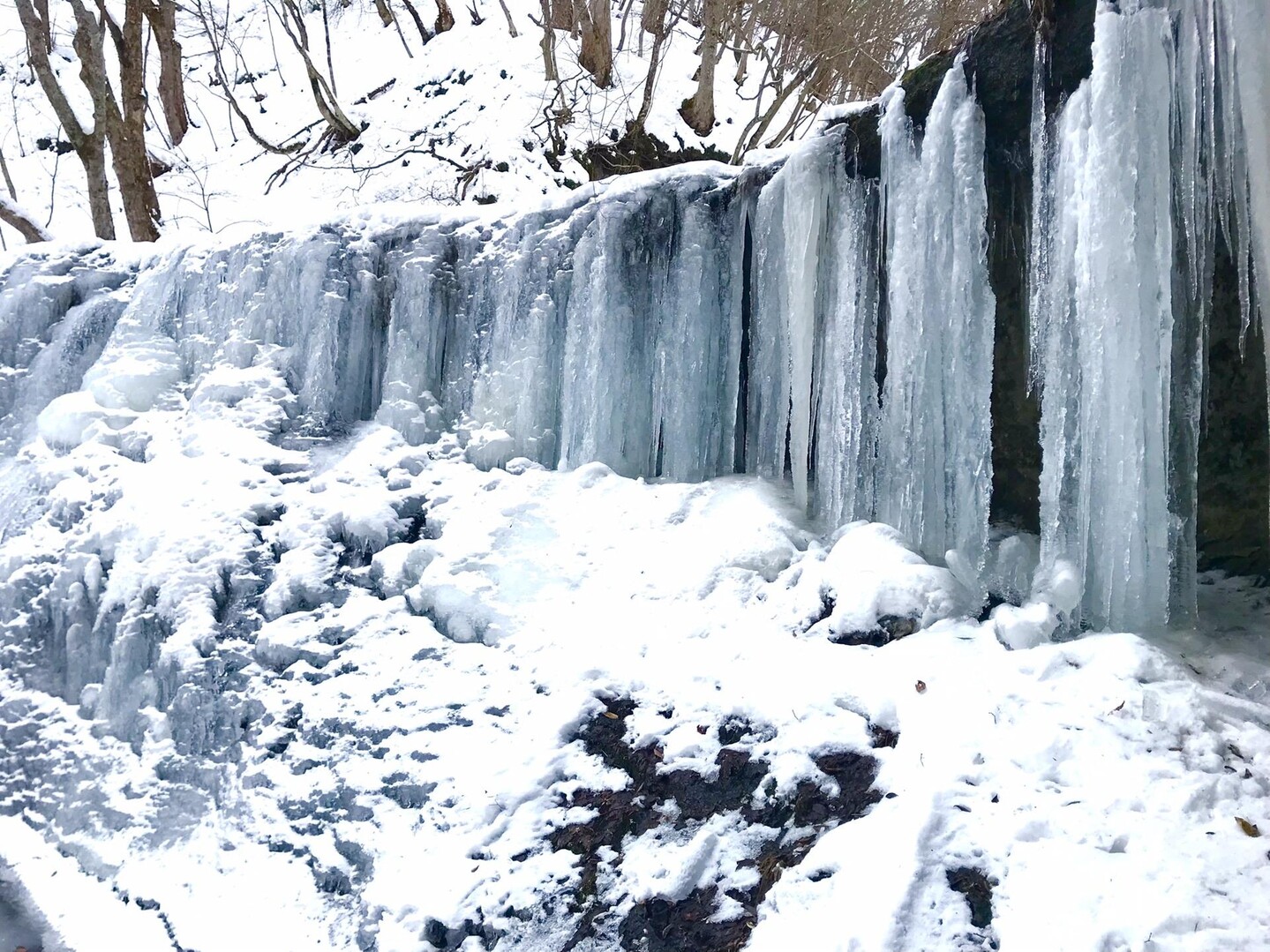 葛丸渓谷[たろし滝][一の滝]山歩 / さちGさんのナメトコ山の活動データ | YAMAP / ヤマップ