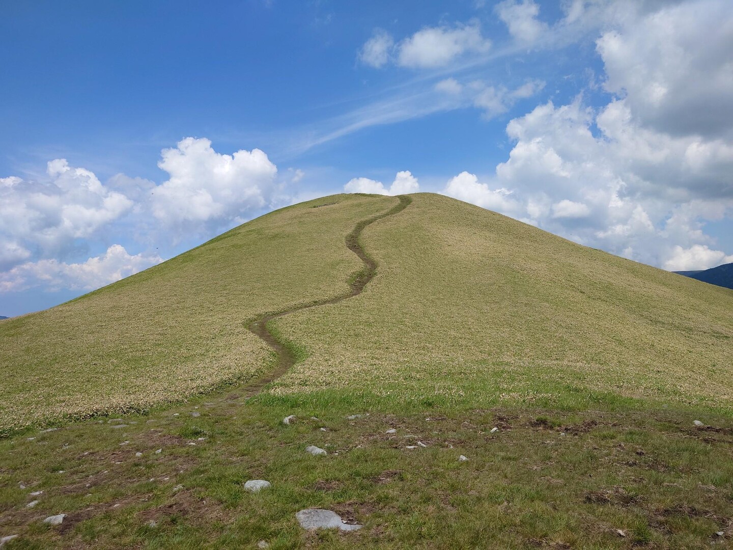 三峰山〜八島湿原〜鷲ヶ峰 / ichiroさんの鉢伏山・高ボッチ山・三峰山の活動データ | YAMAP / ヤマップ